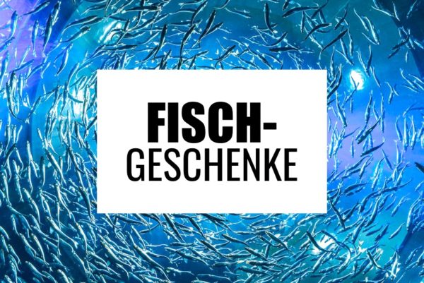 🐟 Dekorative Fisch-Geschenke | Geschenkelister.de